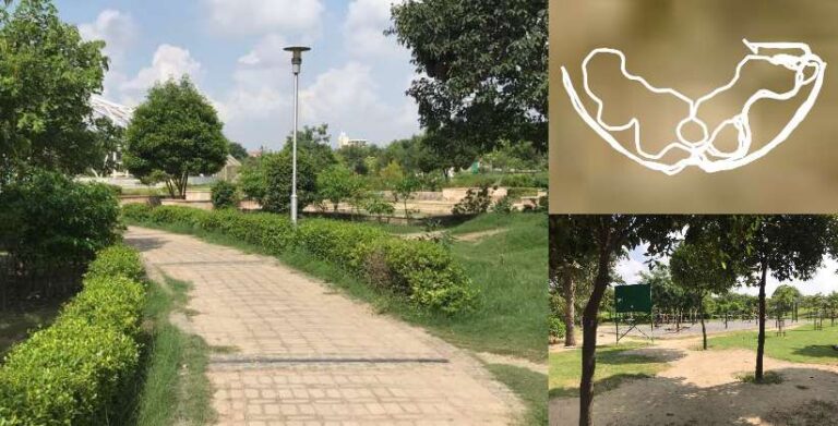 Top 10 Noida Famous Park Perfect For Morning Walks, Family Picnics ...